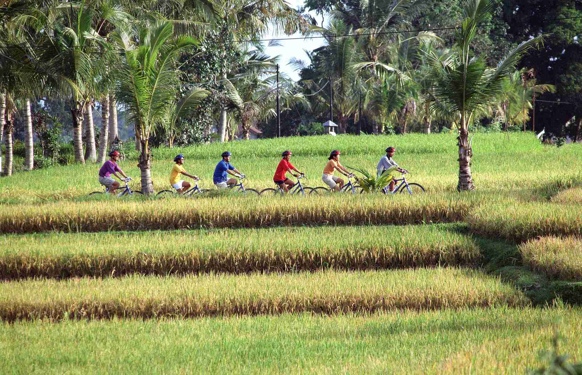 Bali-Bike Asie Infiny