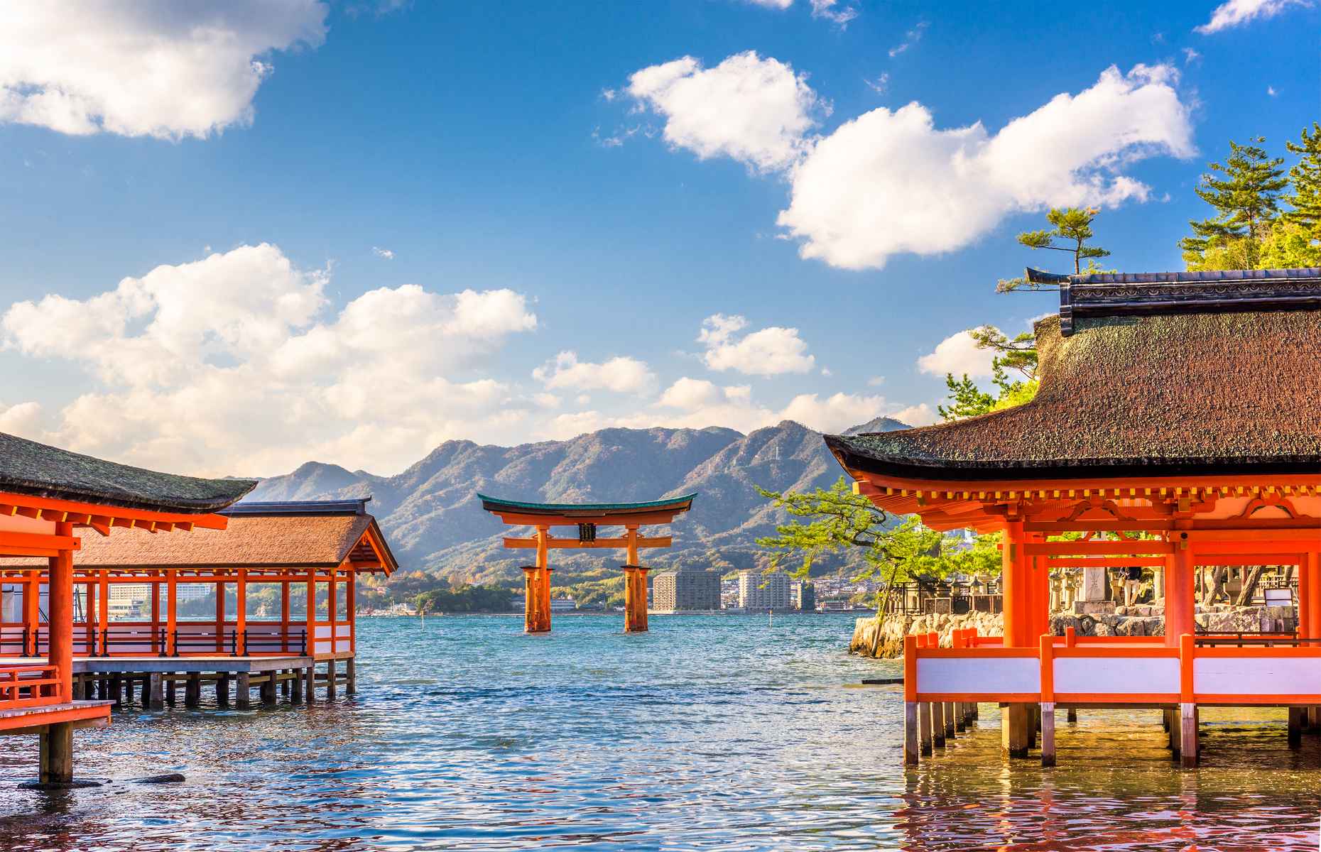 JP_Miyajima_shutterstock_68584 Asie Infiny